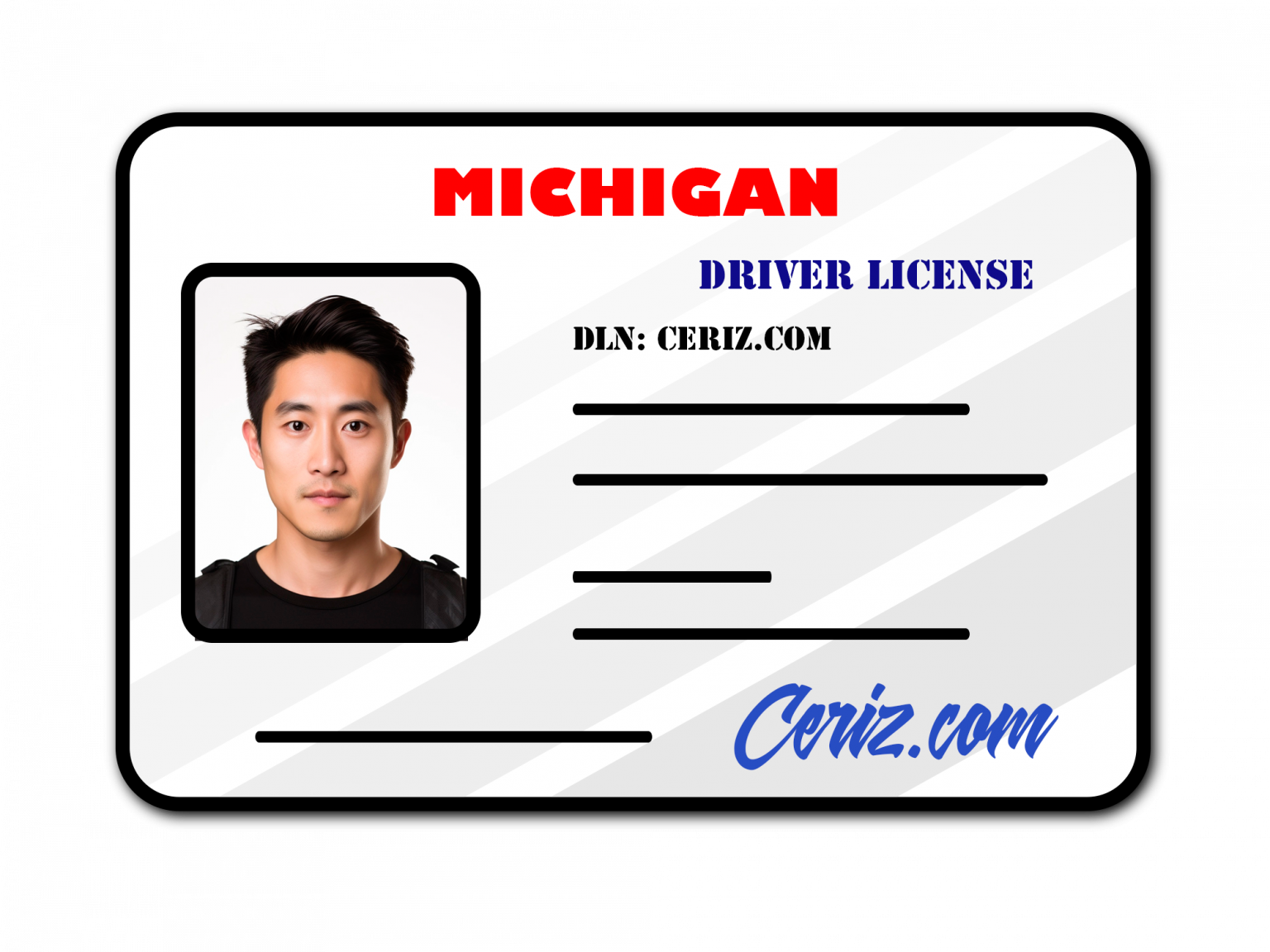 Michigan ID - CERIZ