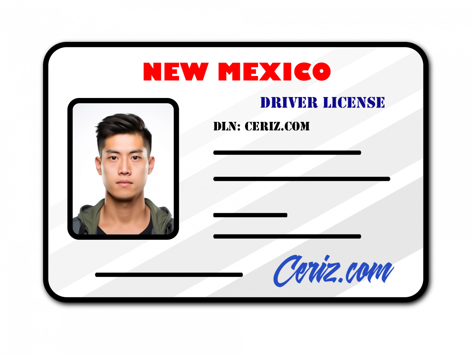 New Mexico ID - CERIZ